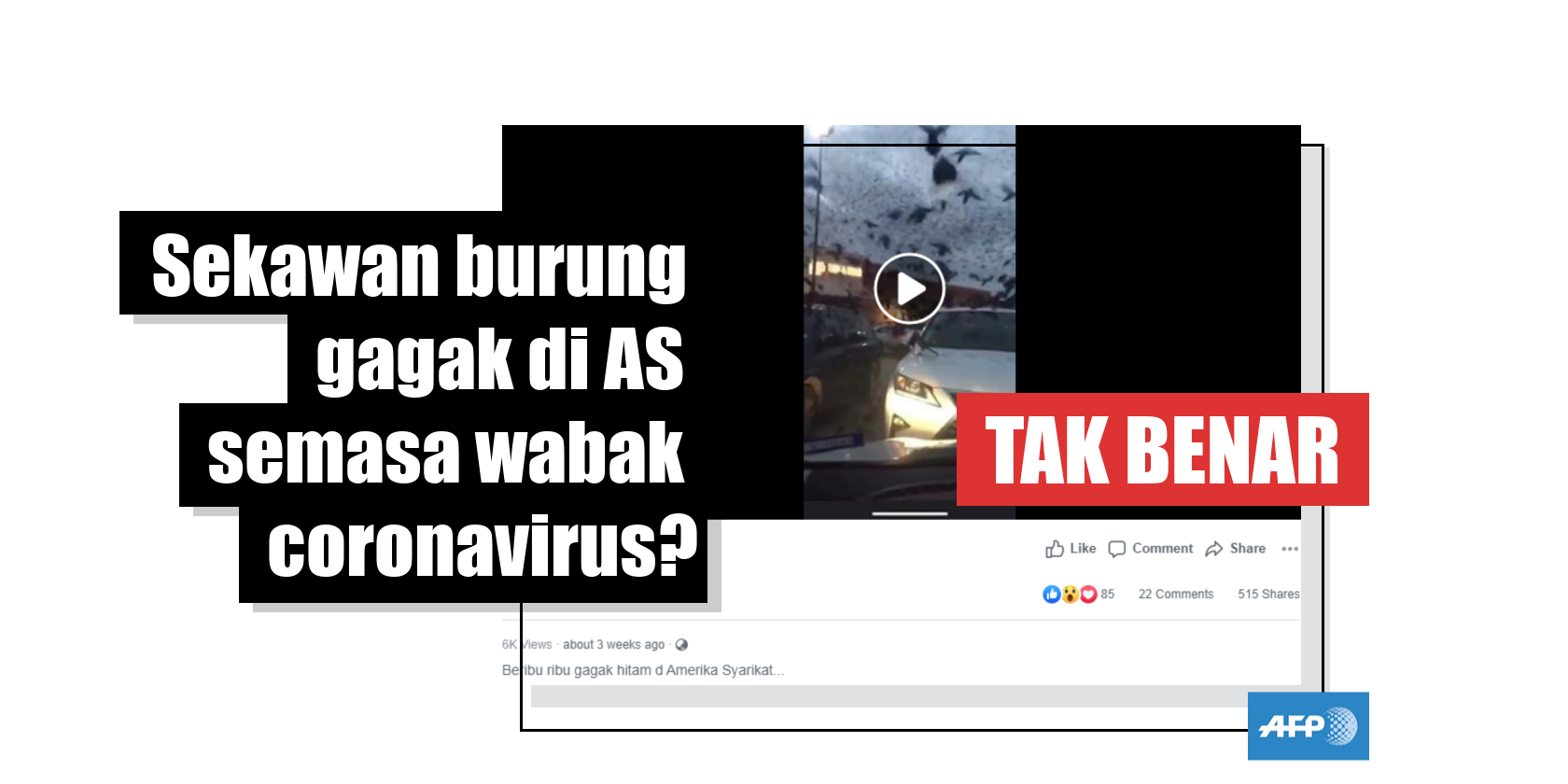 Video ini menunjukkan sekawan burung hitam di Texas pada tahun 2016 ...